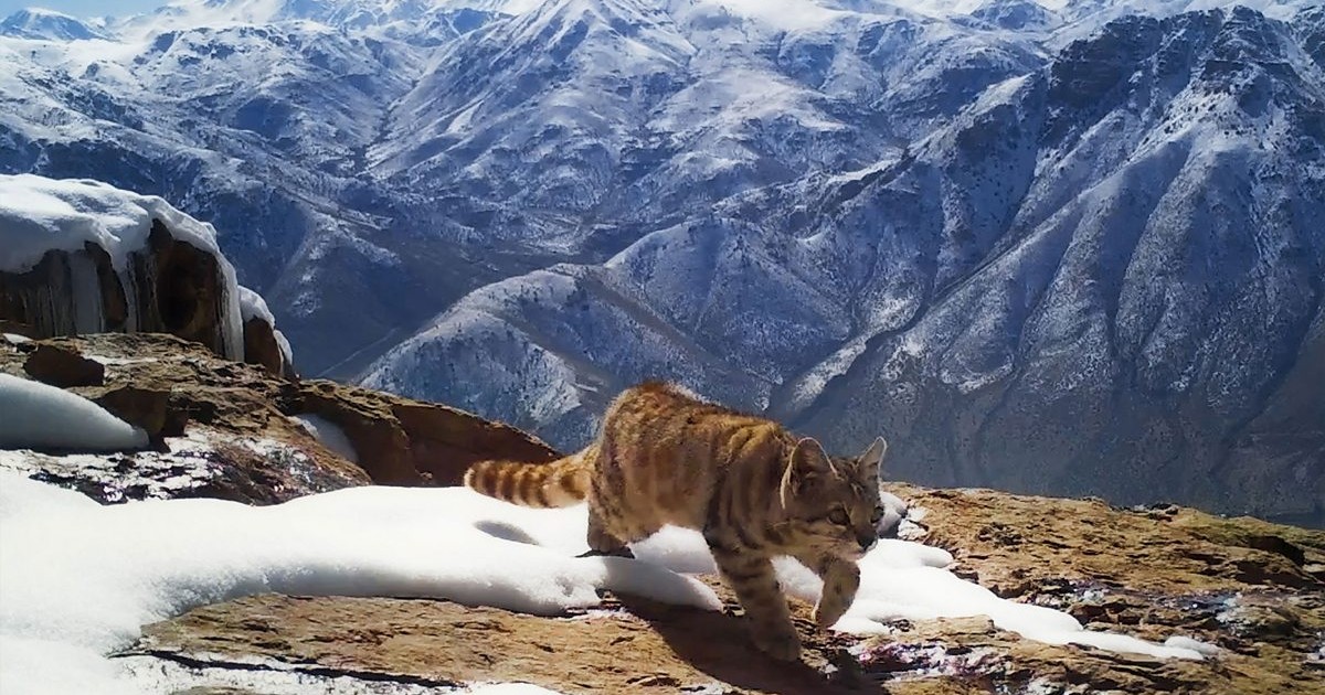 4K content you can watch for free now | Freeview